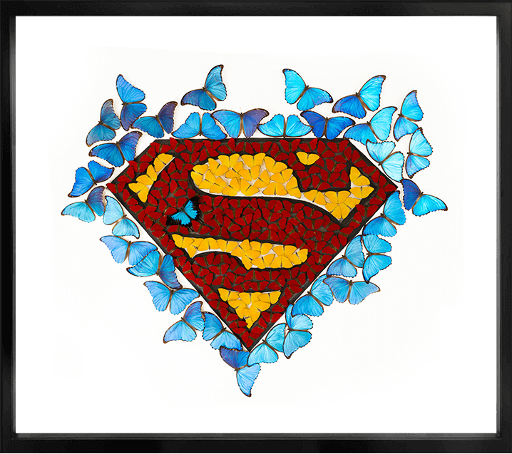 Superman Butterfly White - SN - Eden House of Art