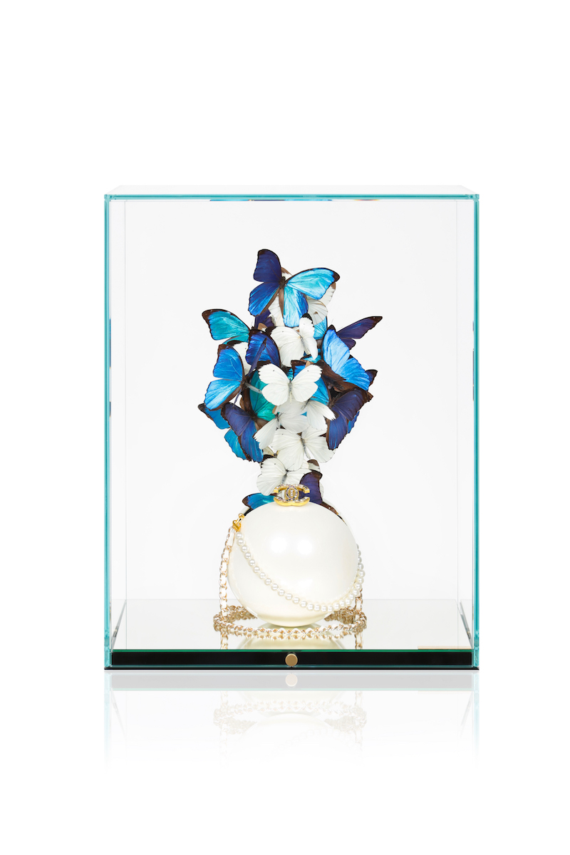 Chanel White Pearl - White & Blue - Roman Feral - Eden House of Art