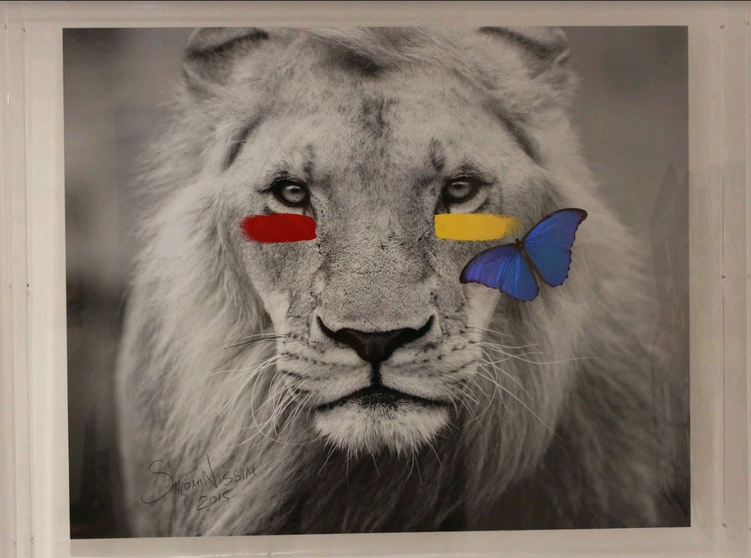 Humanimal Lion – SN
