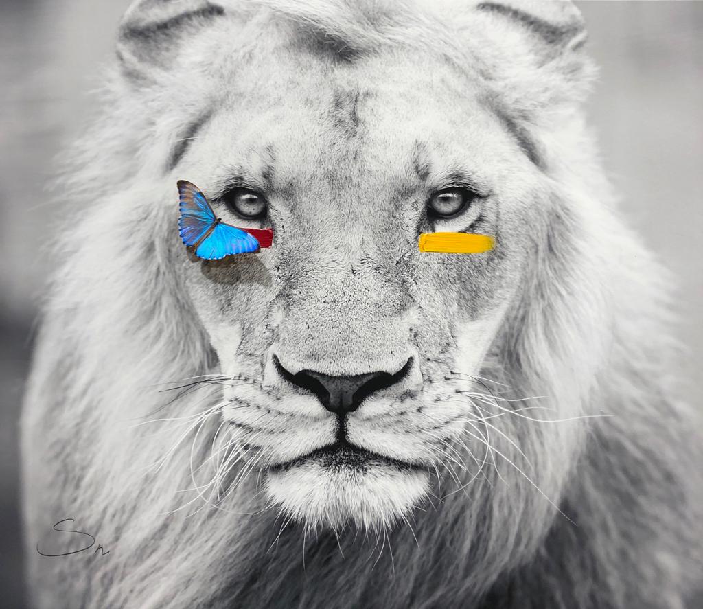 Humanimal Lion – SN